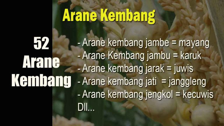 52 Nama Bunga Bahasa Jawa, Manfaat, Dan Penggunaannya Di Jaman Modern | Kawruh Basa