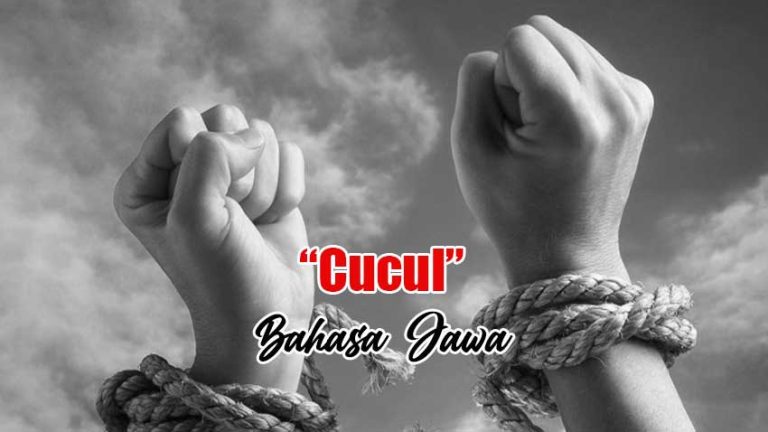 Arti Cucul Dalam Bahasa Jawa: Makna, Filosofi, Dan Penggunaan Dalam ...