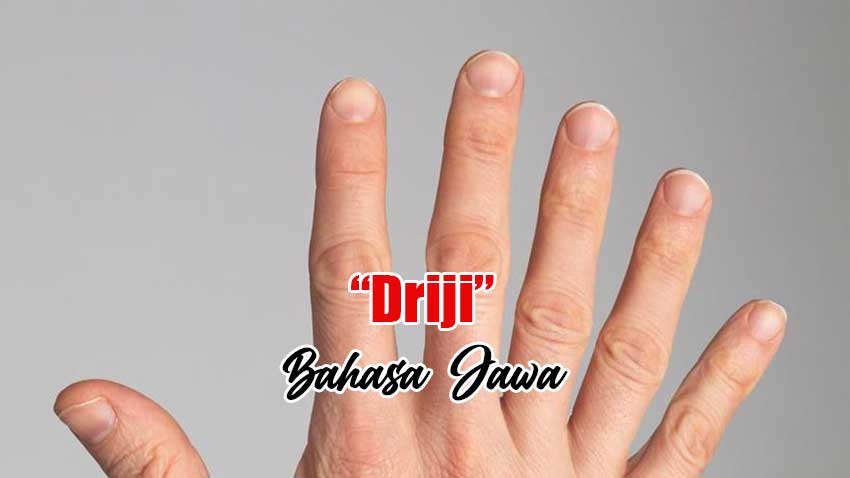 Arti Driji Dalam Bahasa Jawa: Makna, Filosofi, Dan Penggunaannya Dalam ...