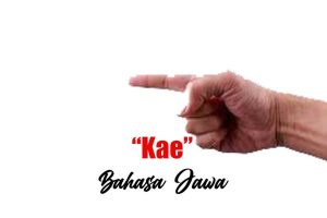 Pelajari Bahasa Jawa Dan Artinya: Pengenalan, Struktur, Dan Kosakata ...