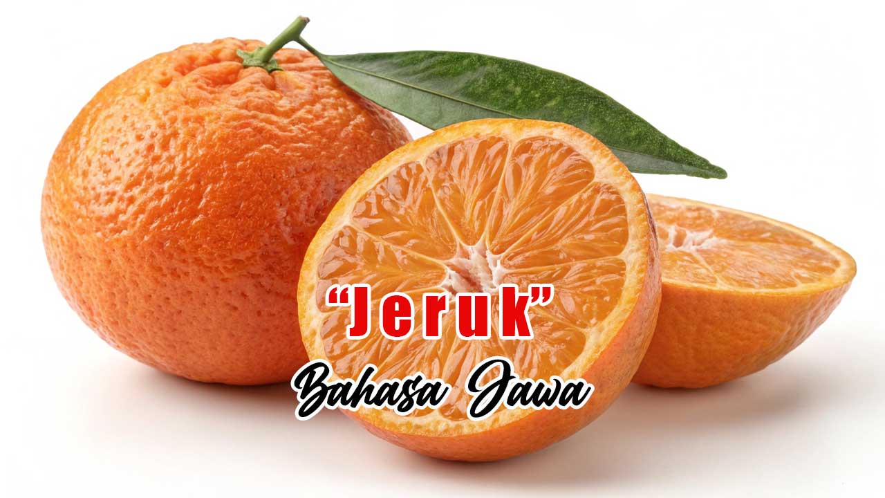 Arti Jeruk Sebagai Simbol Dalam Tradisi Dan Kehidupan Masyarakat Jawa ...
