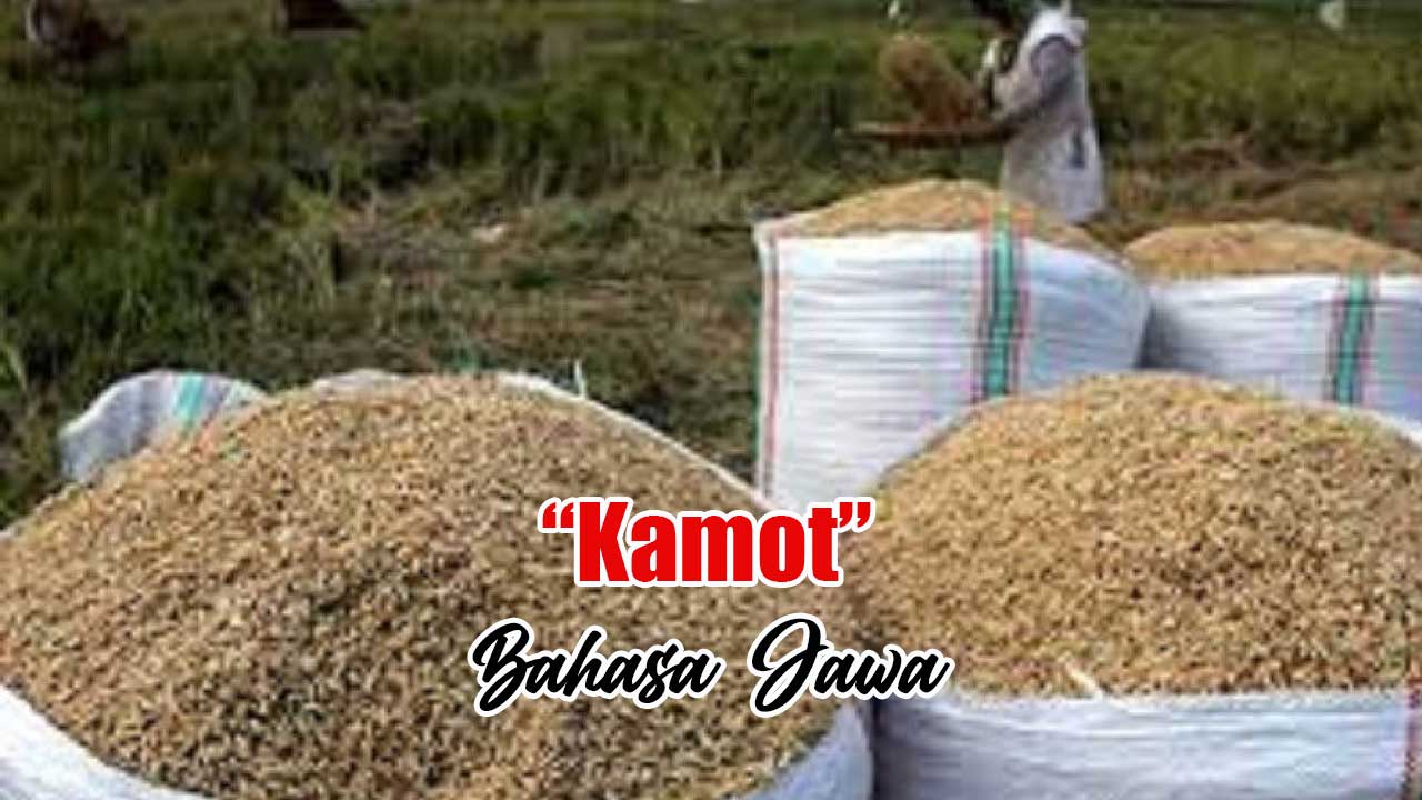Mengenal Arti Kamot Dalam Bahasa Jawa: Lebih Dari Sekadar Muat | Kawruh ...